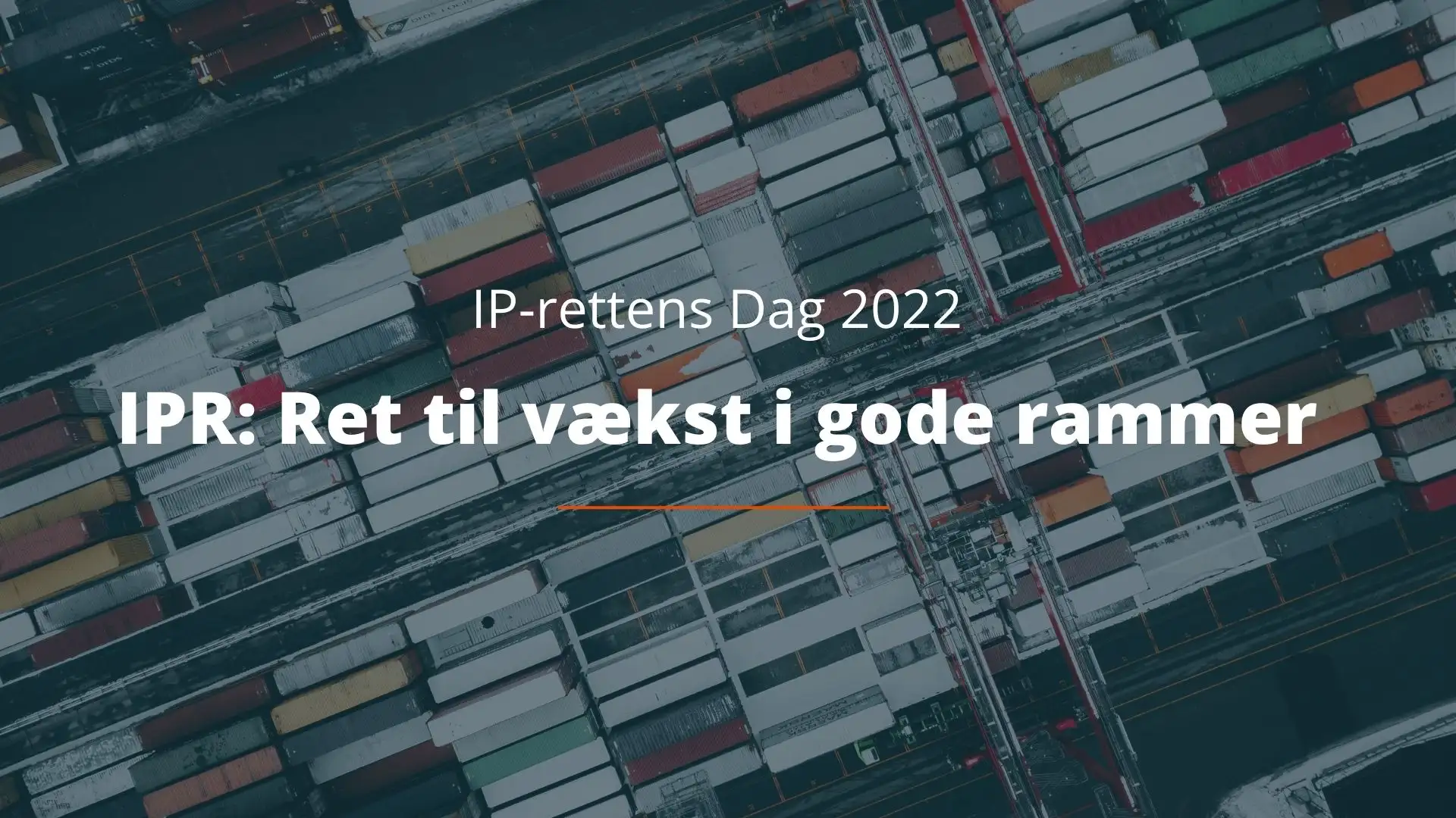 IP-rettens Dag 2022: Ret til vækst i gode rammer