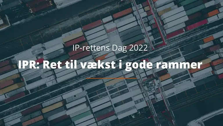 IP-rettens Dag 2022: Ret til vækst i gode rammer